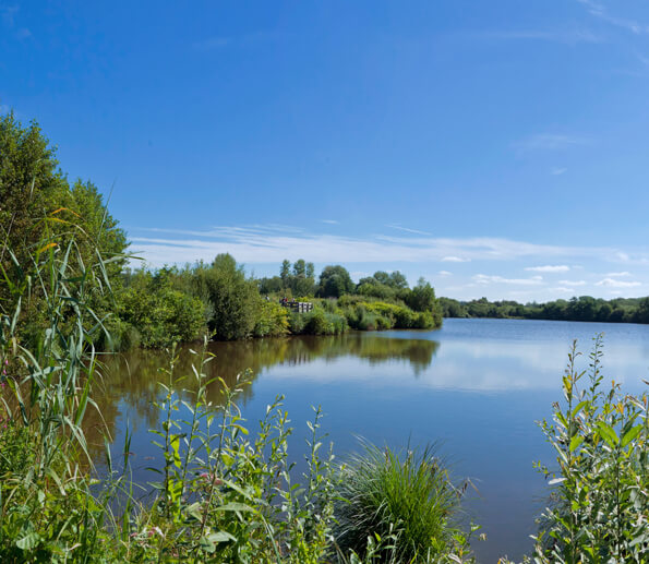 Réserve Naturelle Régionale du marais de Condette - Eden 62