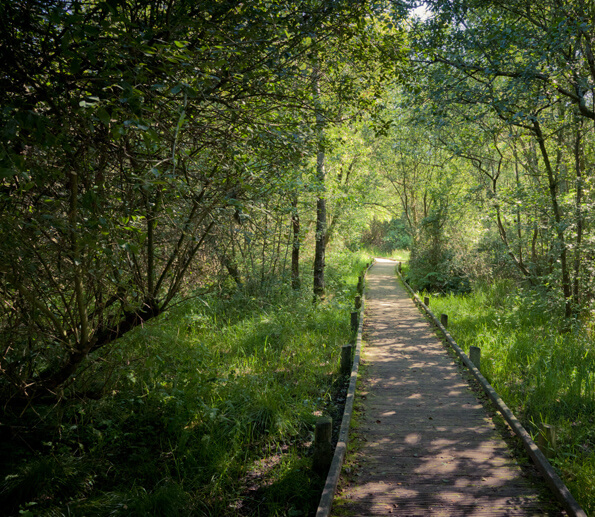 Réserve Naturelle Régionale du marais de Condette - Eden 62