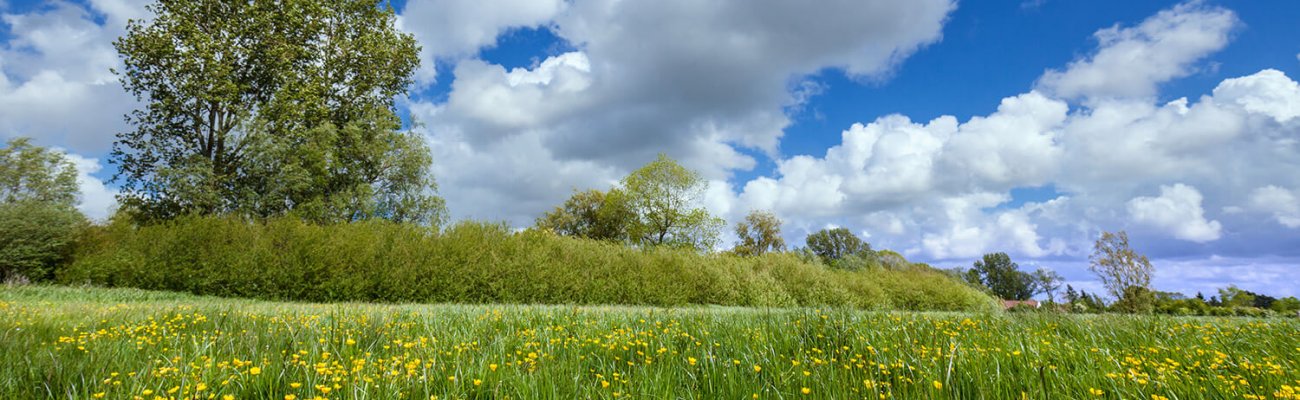 Ardres Lake - Eden 62