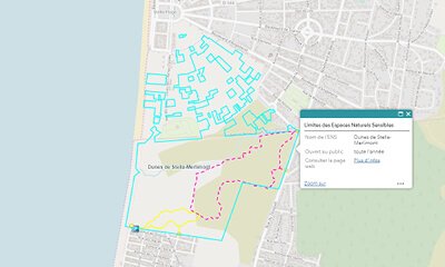 The dunes of Merlimont - Eden 62